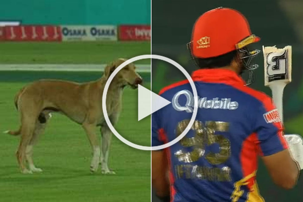 Latest Sports News, Sports Updates, Cricket, Football, Tennis, Hockey ...