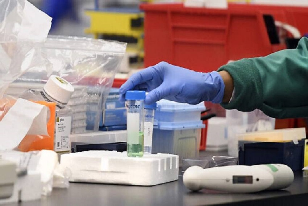 West Bengal Researchers Claim Successful Use Of Goat Cartilage To ...