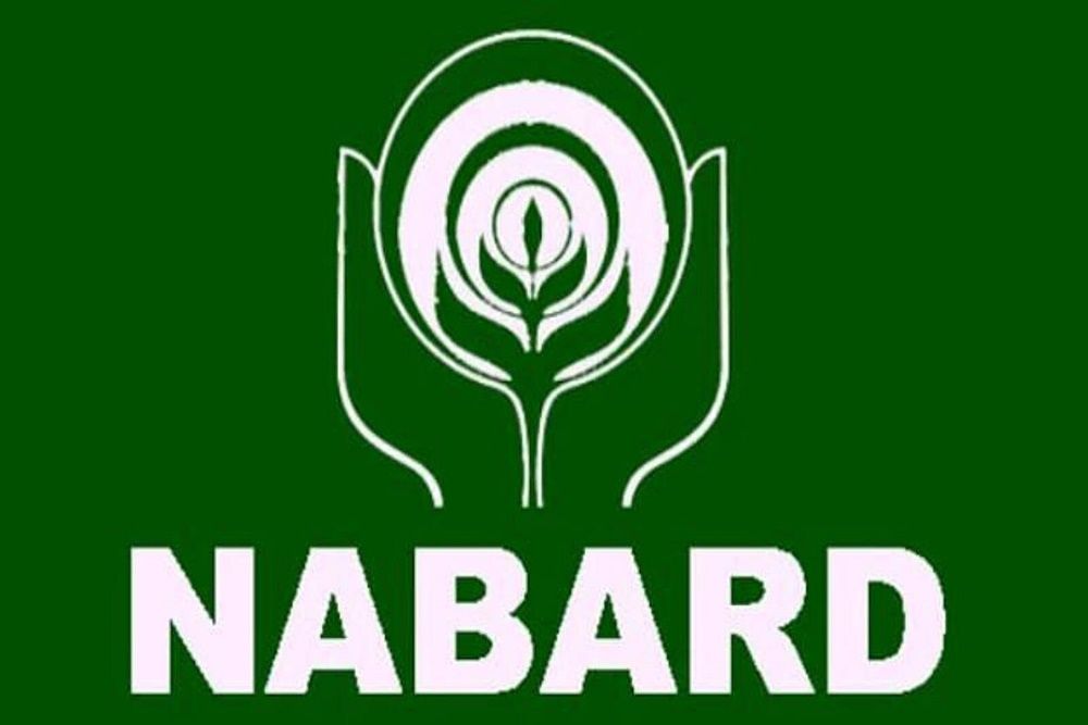 Madhya Pradesh: NABARD To Hold Mango Festival On Jun 10 To Showcase ...