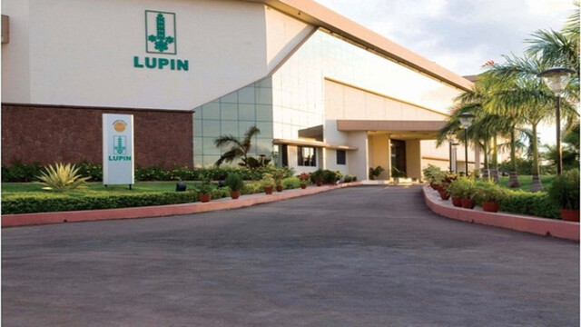 Lupin