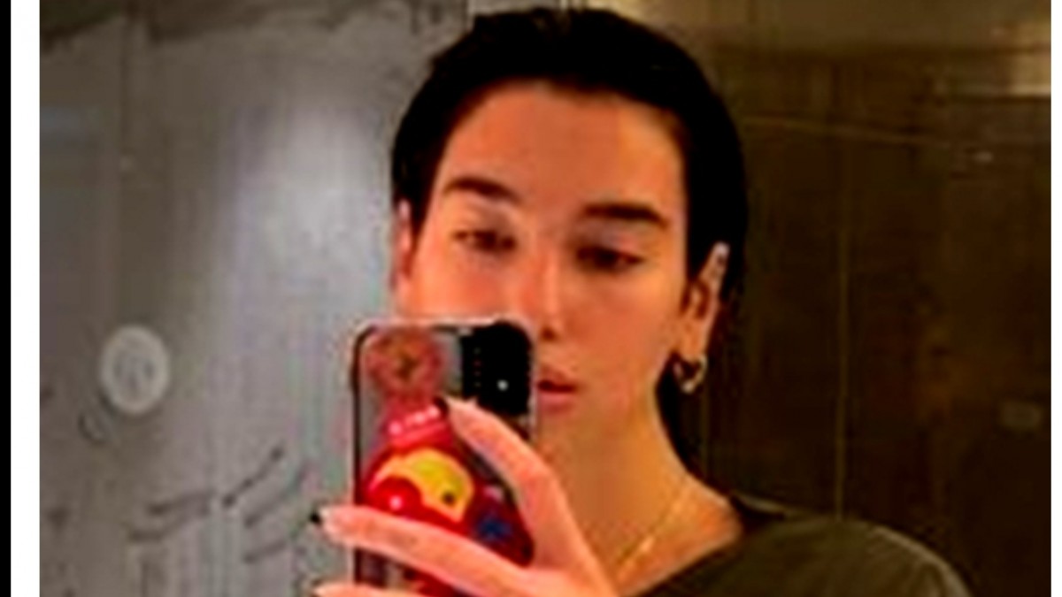 Dua Lipa Shares Shower Selfie Flaunting Abs Fans Spot X Rated Detail In Picture