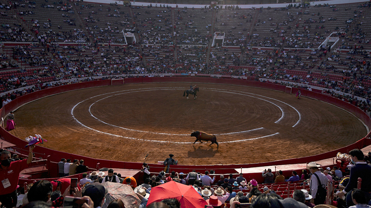 Bullfighting In Mexico And It May Be The Last
