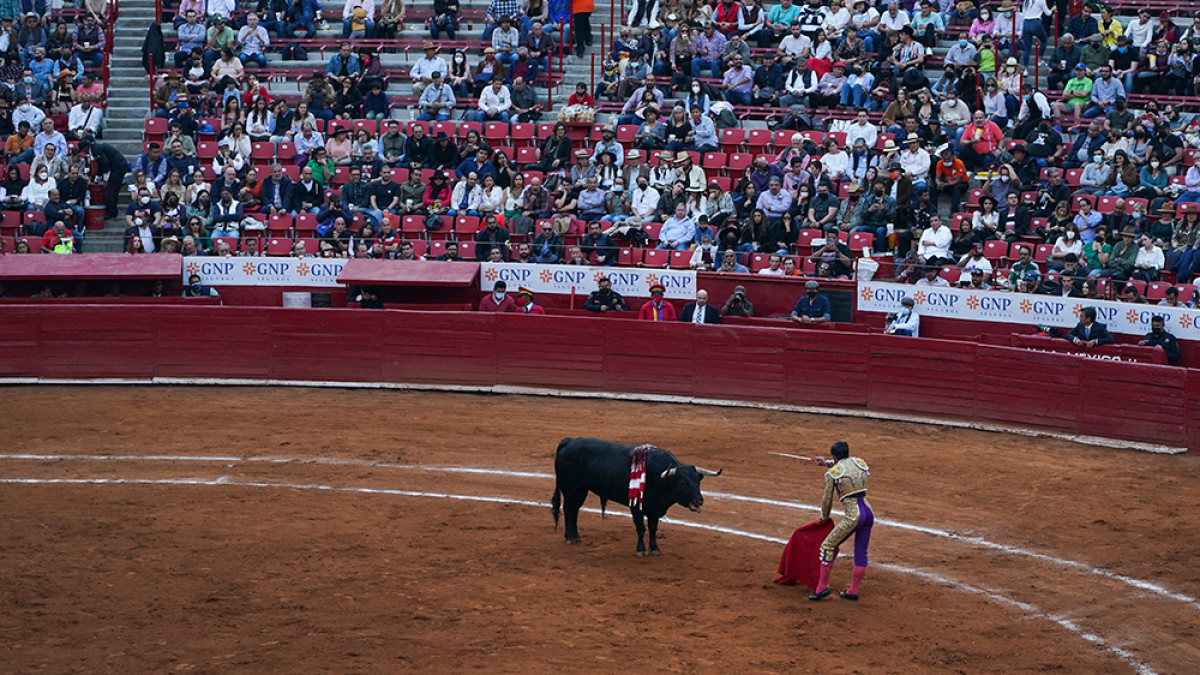 Bullfighting In Mexico And It May Be The Last