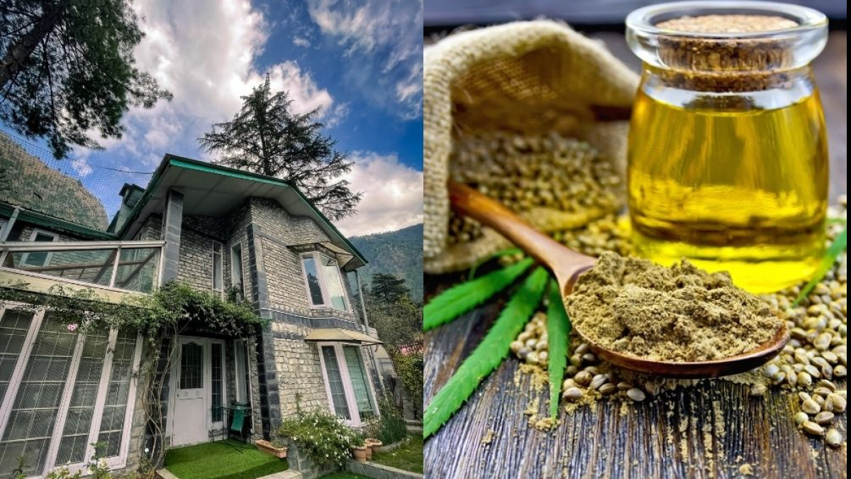 High Up In The Hills: India’s First Hemp Cafe