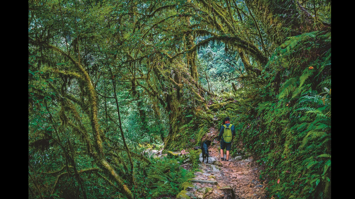 The Paradise Worth Preserving: How The Lepcha Community Has Built Up ...