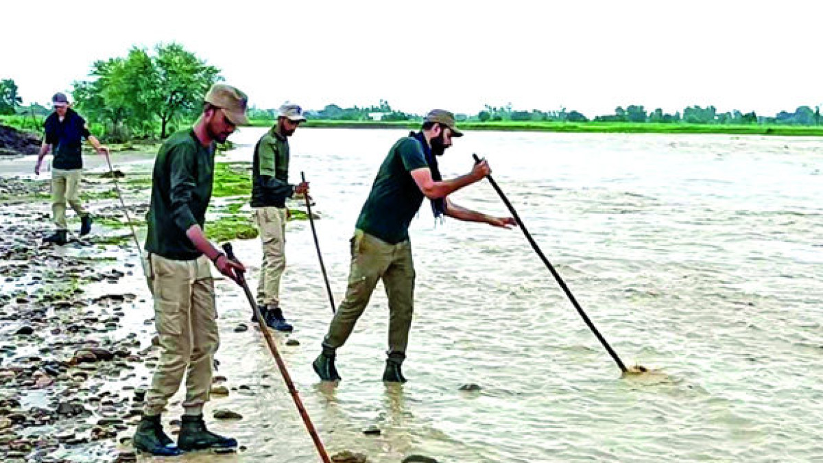 Bhubaneswar's Sundarpada Area Marooned Due To Swollen Daya River