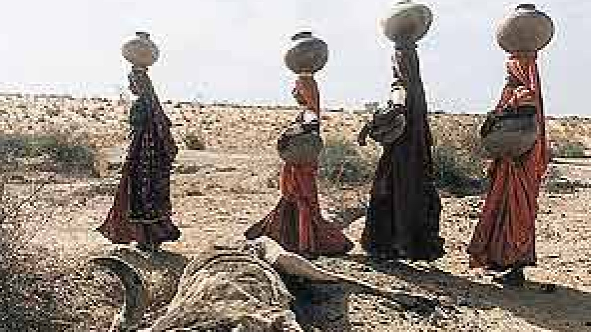 Rains Fills Up Dams In Rajasthan, Water Crisis Unlikely Next Summer