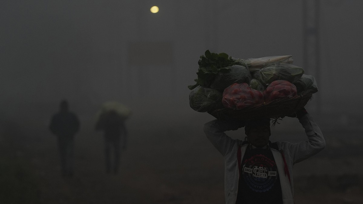 Below 5 Degrees Min Temperature In Parts Of Rajasthan