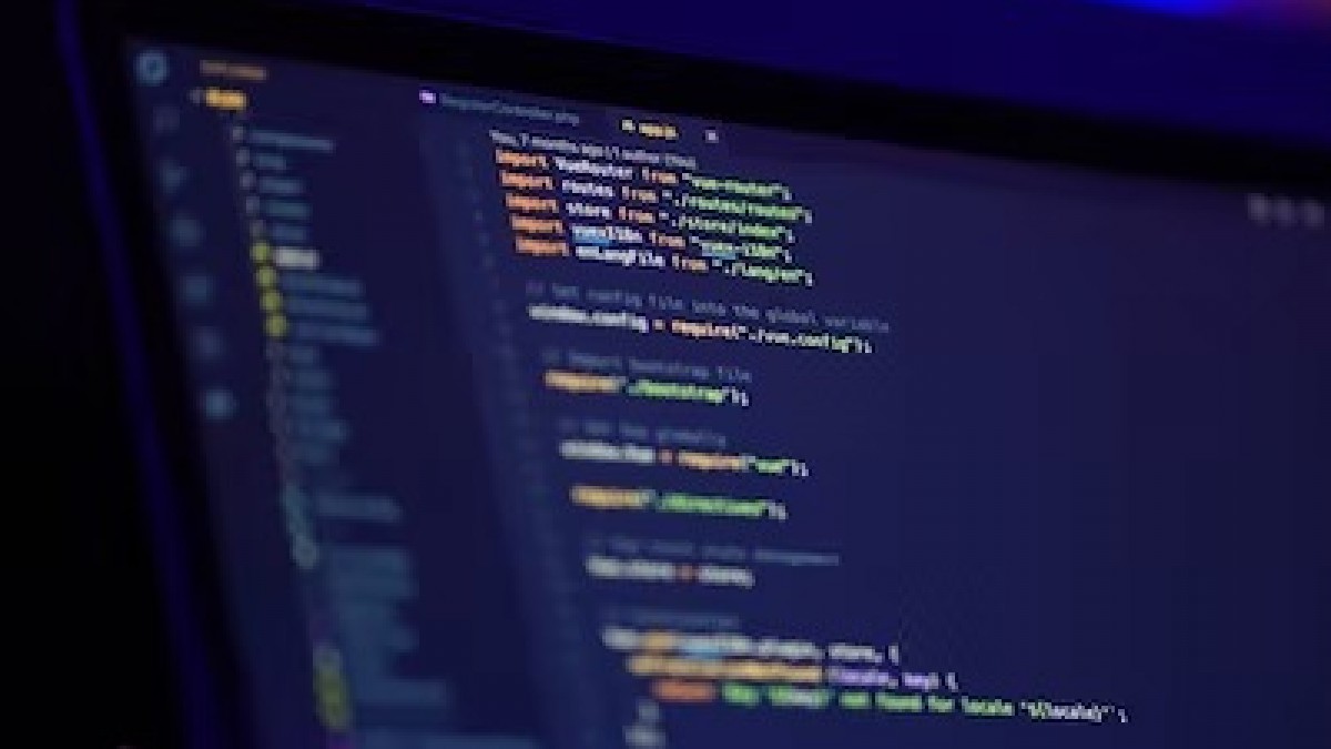 What Must A Programmer Use To Test A Program