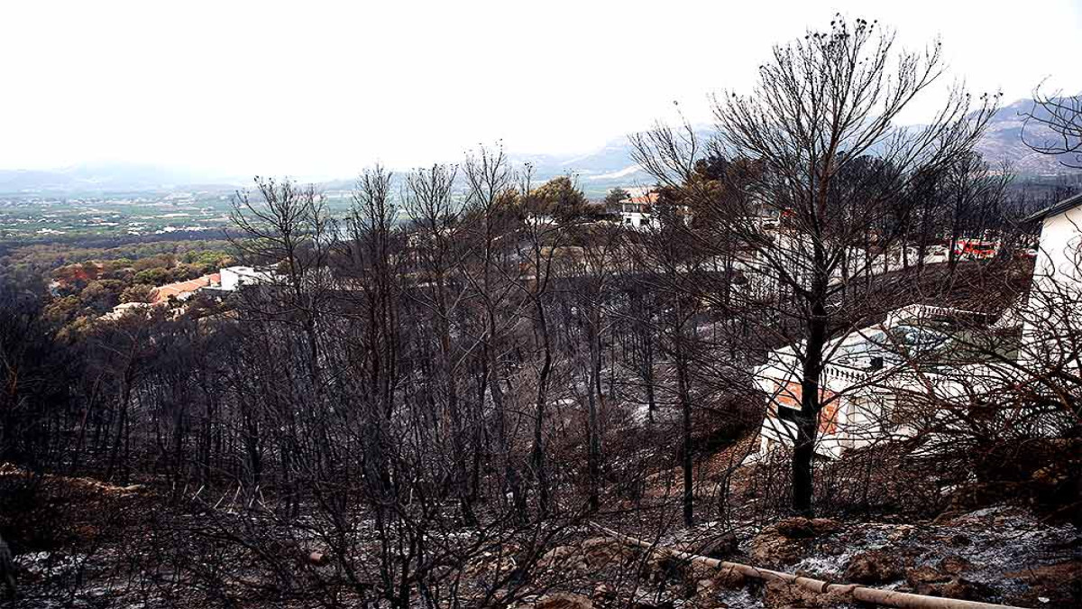 With Record Heat And Drought-Stricken Woods, Spain's Catalonia Faces ...