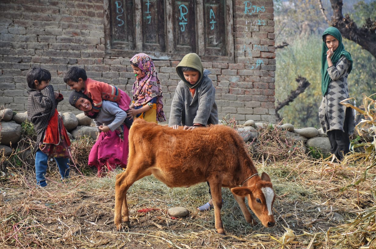 Bakerwals, Gujjars Of Jammu & Kashmir Pad Up To Protect Rights